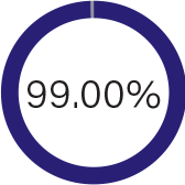 SBI Bank Annual Report 2024 - 2025